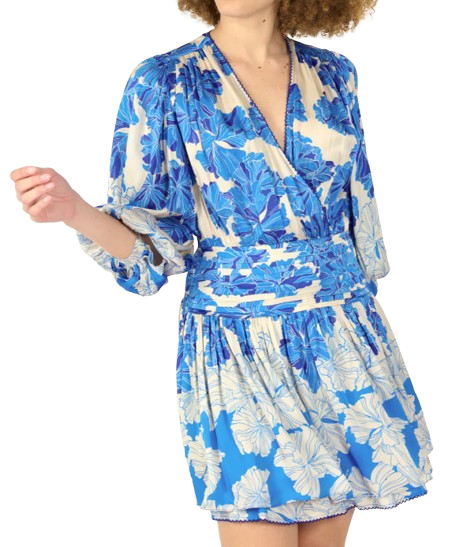 Colleen Mini Dress, Blue – Monkee's of Wilmington